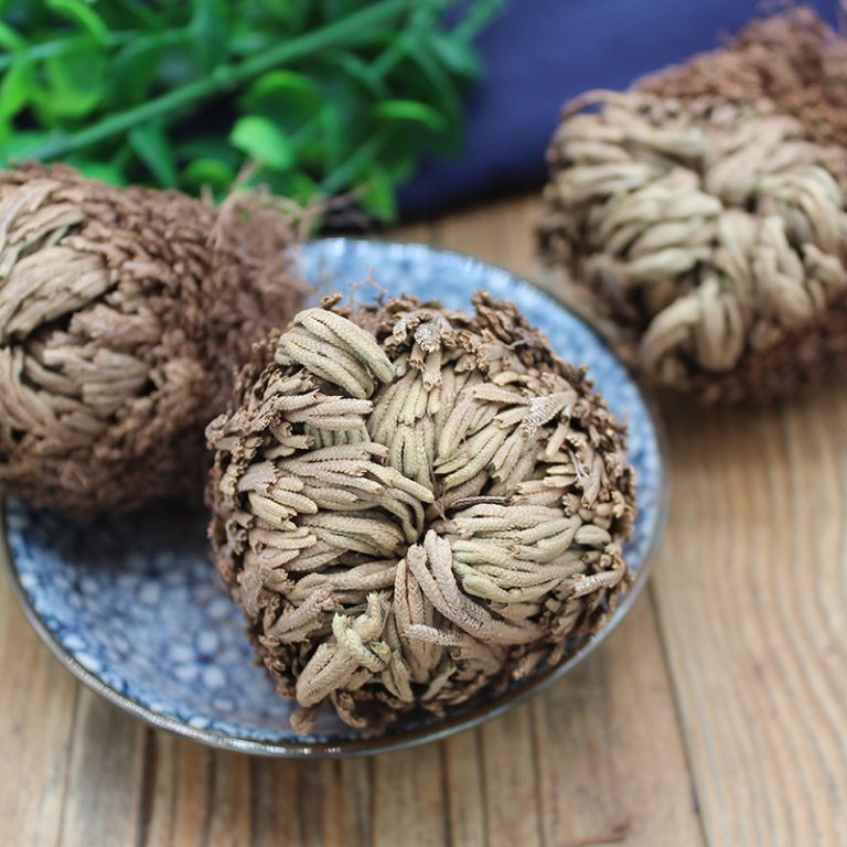 Magic Resurrection Plant Tiger Claw Selaginella Rose Of Jericho Dried ...